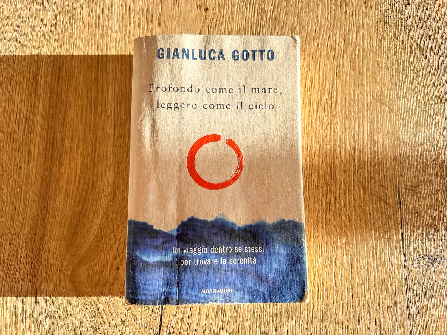 I LIBRI DI GIANLUCA GOTTO: come sceglierli - Viaggi Scritti a Mano